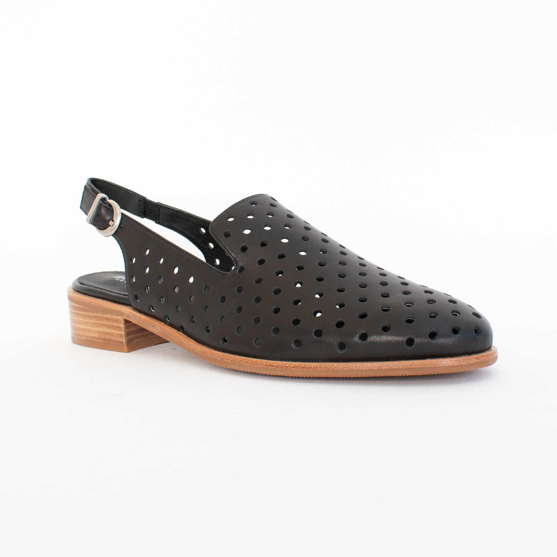 Bresley Asp Black Shoes | Womens Big EU Sizes 42 43 44 45 46 – Willow Shoes