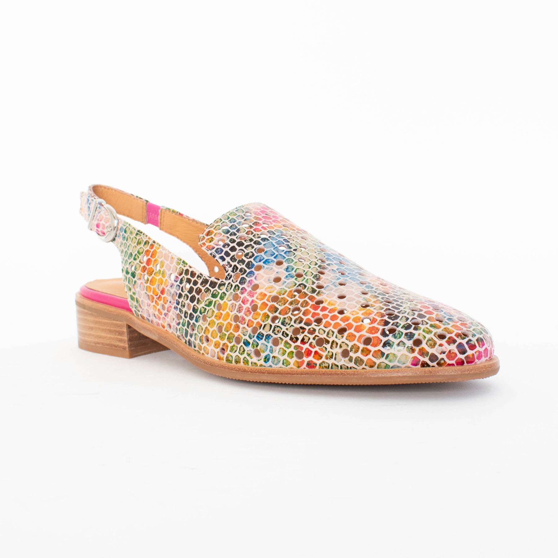 Bresley Asp Palette Snake Shoes | Womens Big EU Sizes 42 43 44 45 46 ...