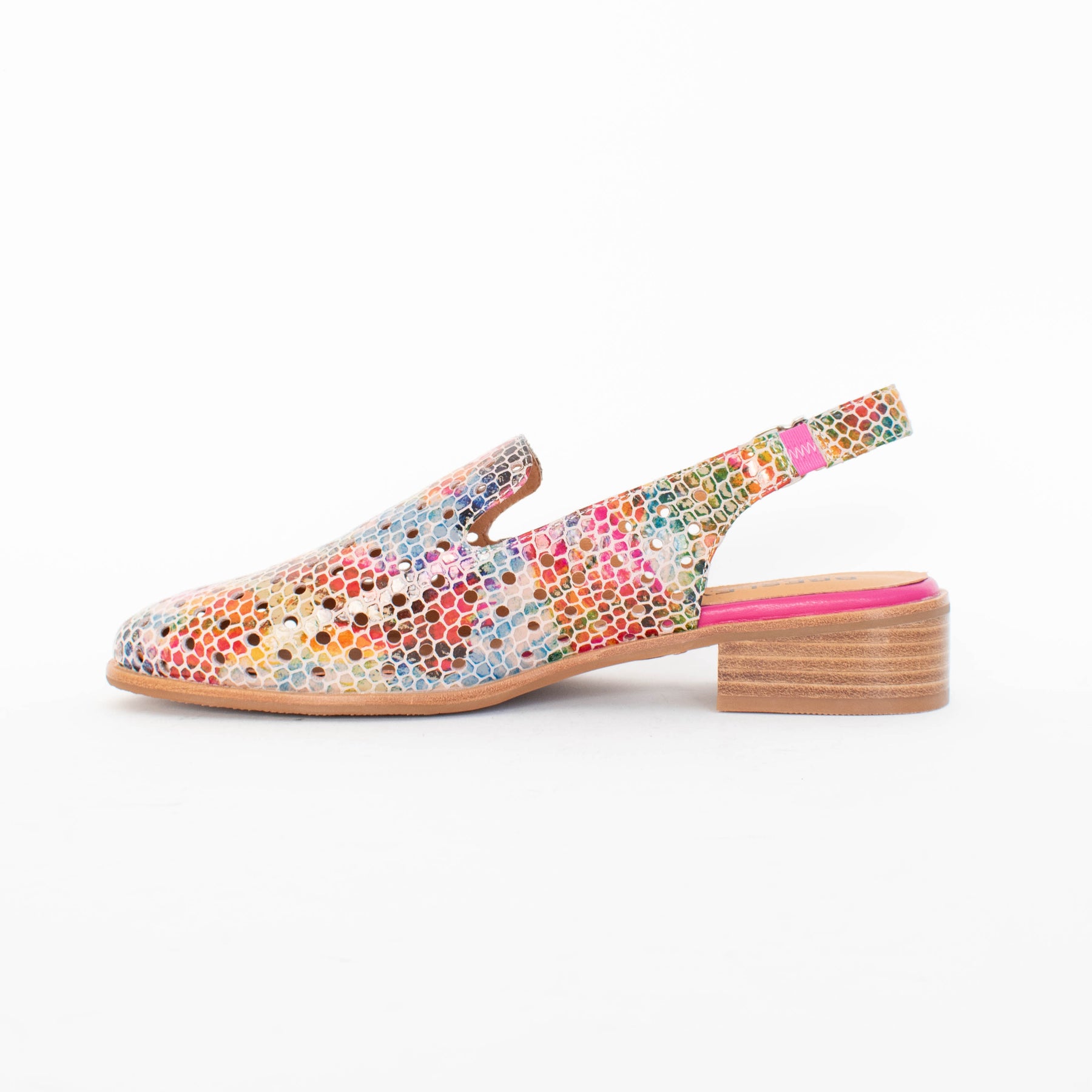 Bresley Asp Palette Snake Shoes | Womens Big EU Sizes 42 43 44 45 46 ...