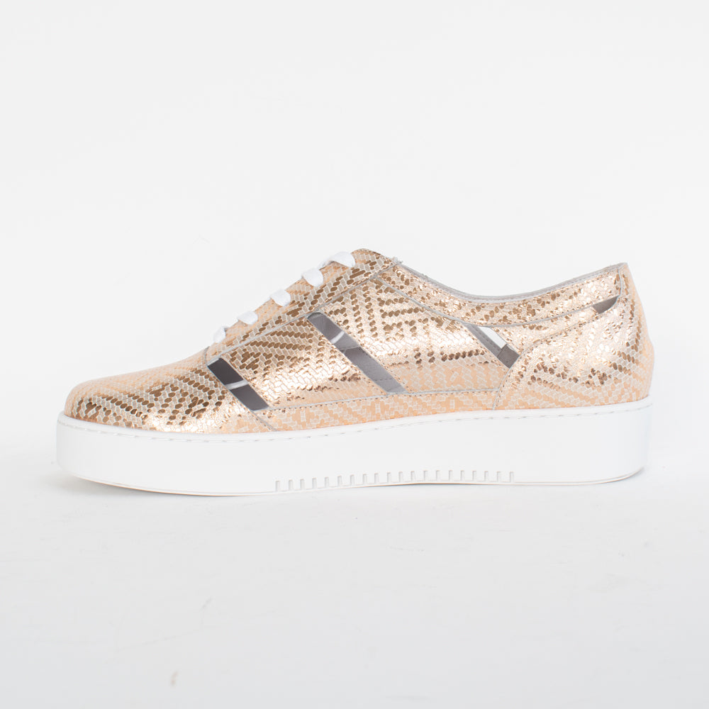 Minx Whisper Gold Metallic Sneakers| Womens Big EU Size 42 43 44 45 46 ...